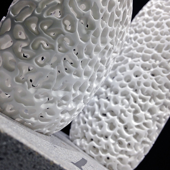 ‘Bioliths’ – Chris Wight – Artist in Bone China