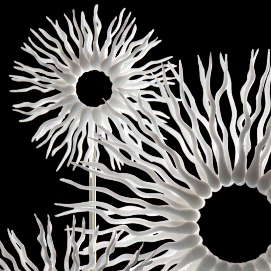 ‘Corona Formations’ – Chris Wight – Artist in Bone China